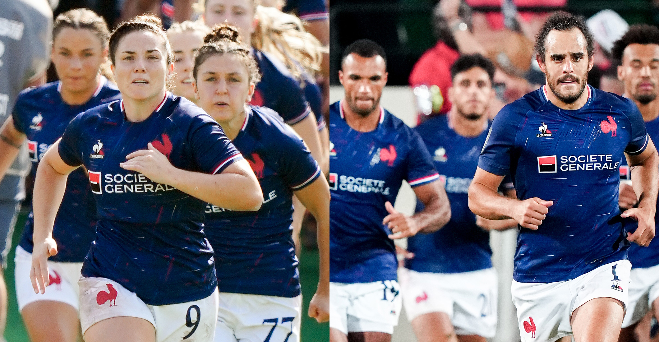 Les poules pour Perth