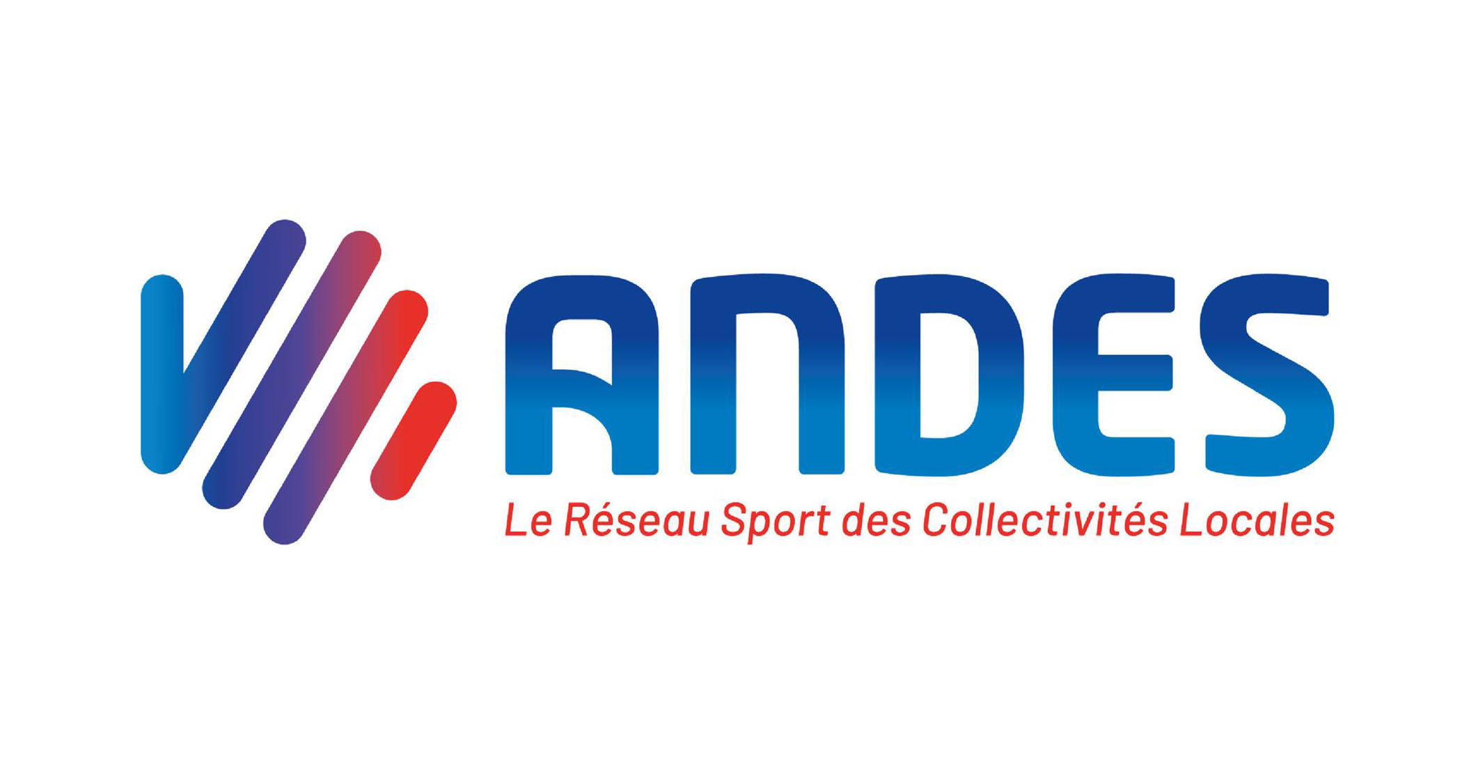 Guide ANDES 2024 : Le rugby à l’honneur