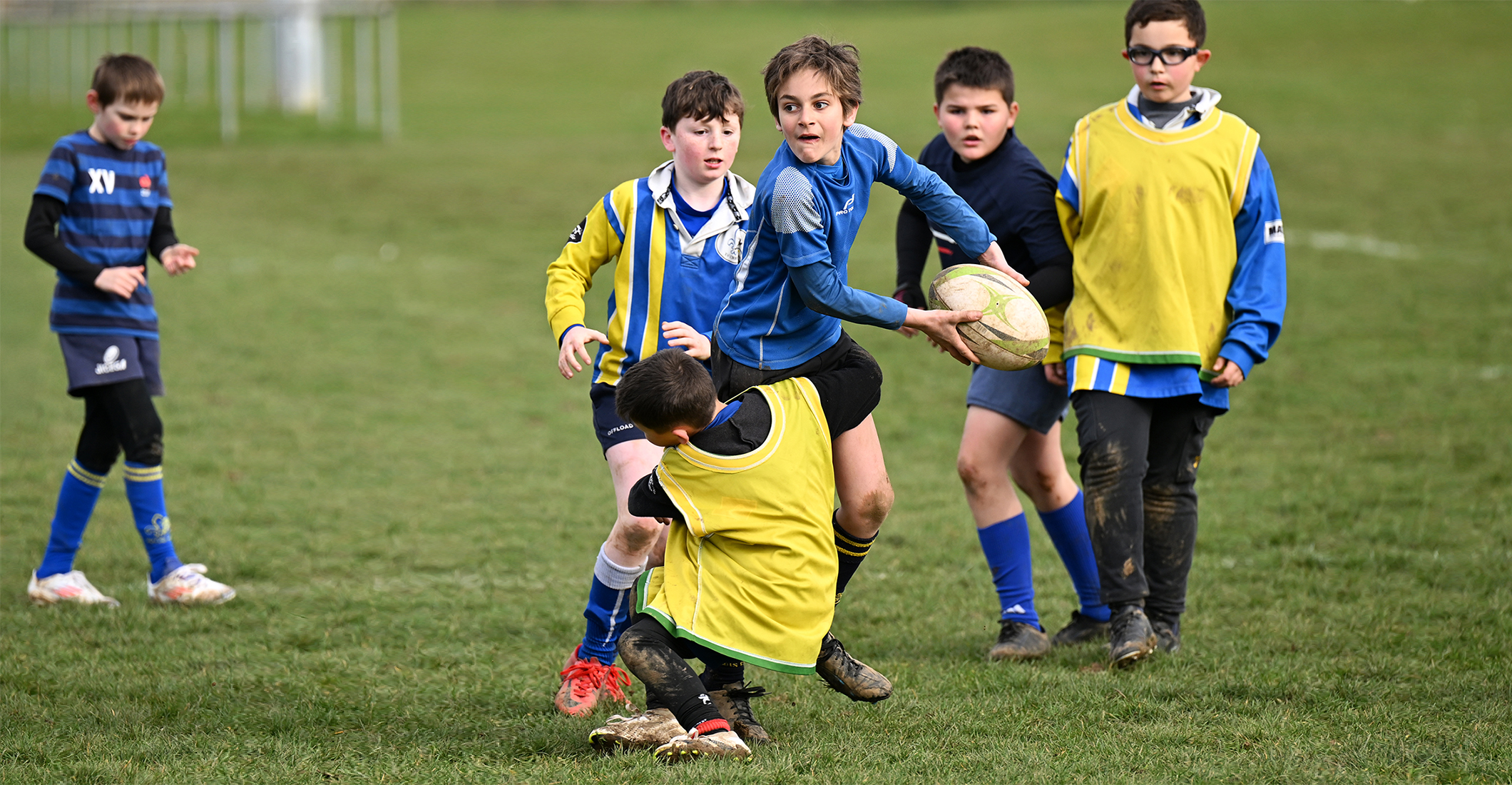 Écoles de Rugby : Fiches réglementaires